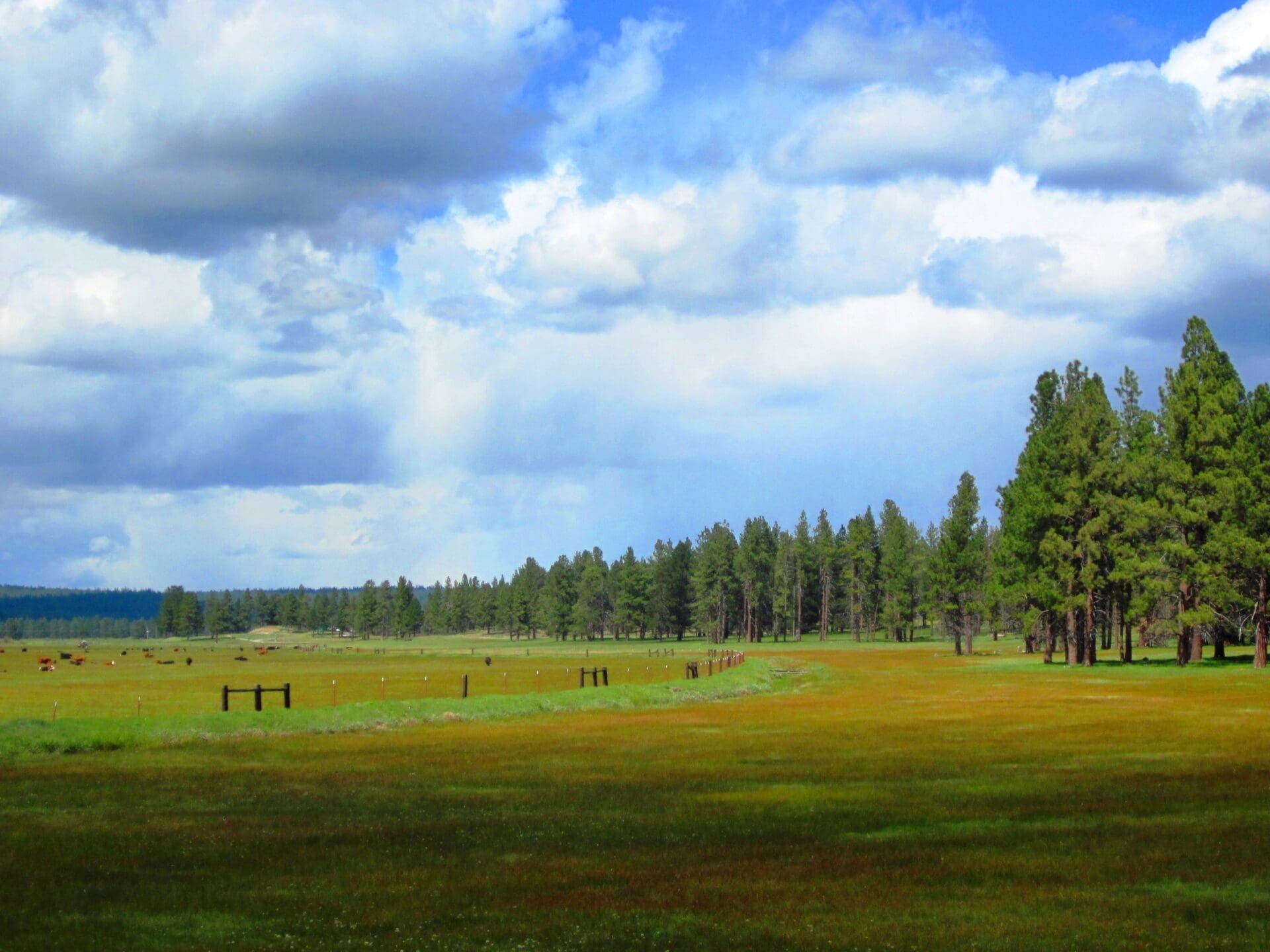 4.79 ACRES IN KLAMATH COUNTY, OREGON ~ GORGEOUS MINI RANCH IN THE ...