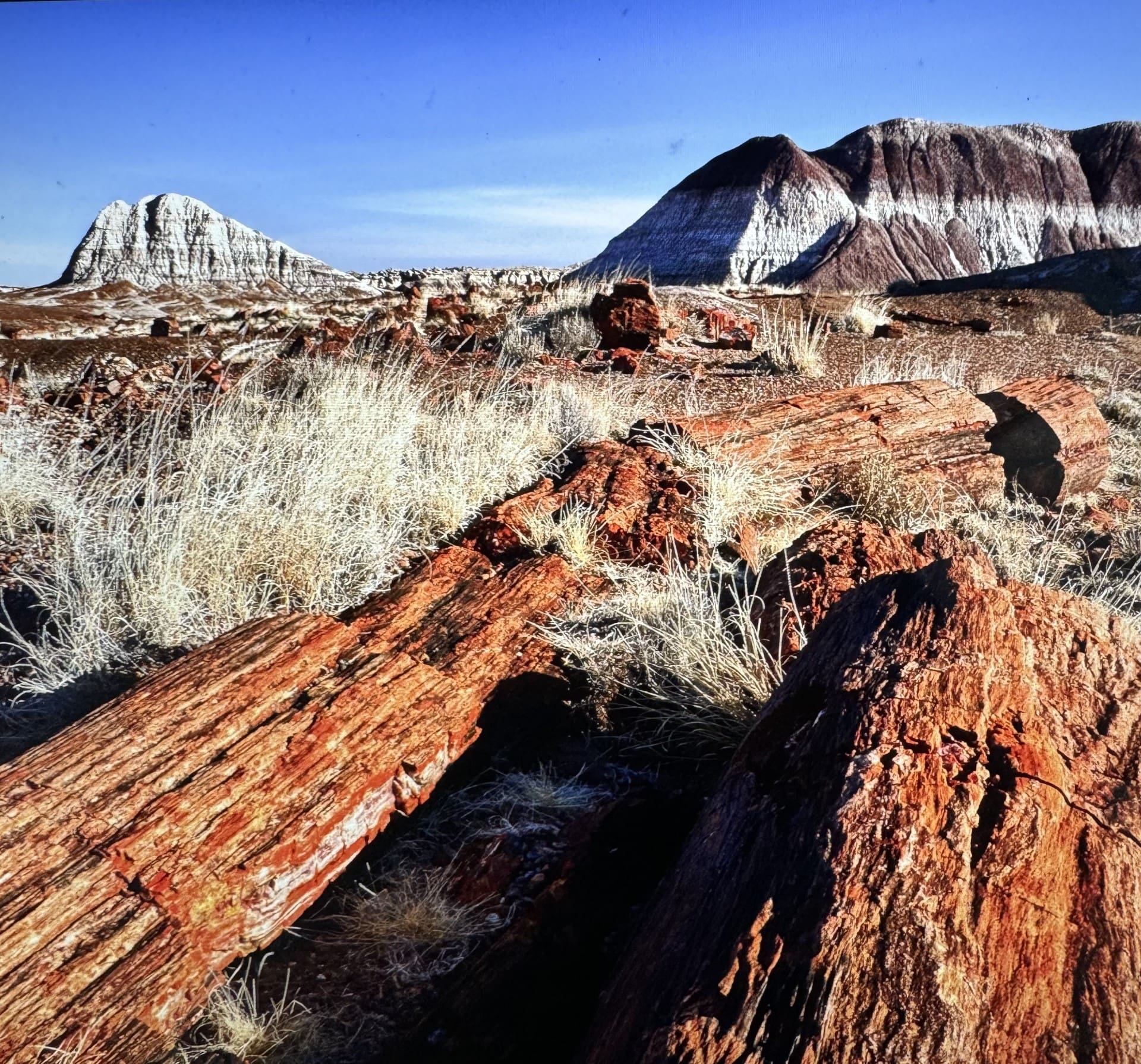 1.18 BEAUTIFUL ACRES OUTSIDE SNOWFLAKE, ARIZONA SURROUNDED BY PETRIFIED ...