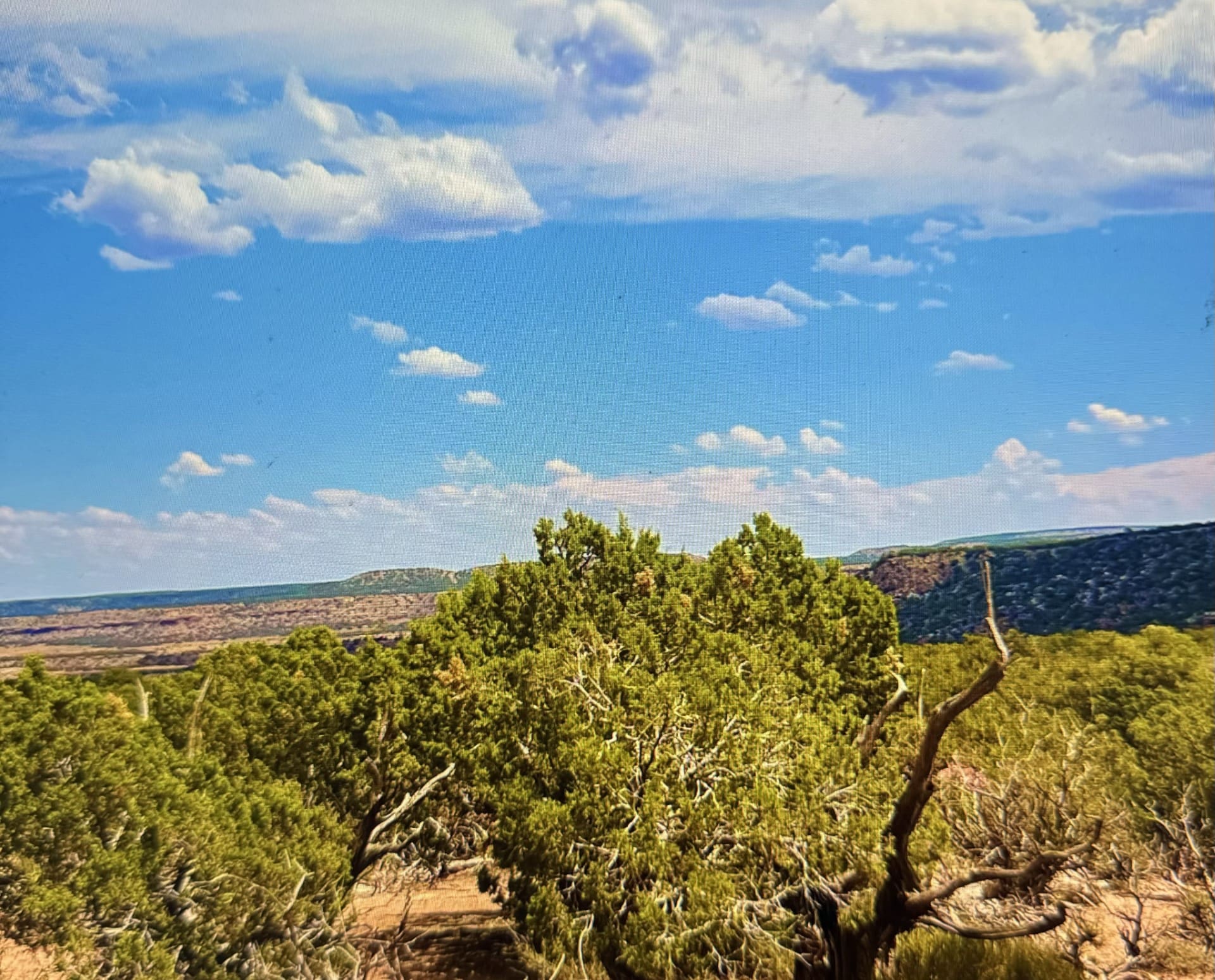 1.18 BEAUTIFUL ACRES OUTSIDE SNOWFLAKE, ARIZONA SURROUNDED BY PETRIFIED ...