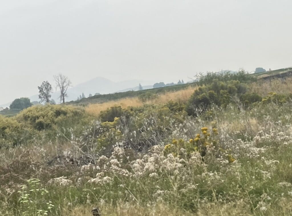 2.14 ACRES ON THE GORGEOUS LOST RIVER WITH HIGHWAY FRONTAGE ~ MERRILL ...