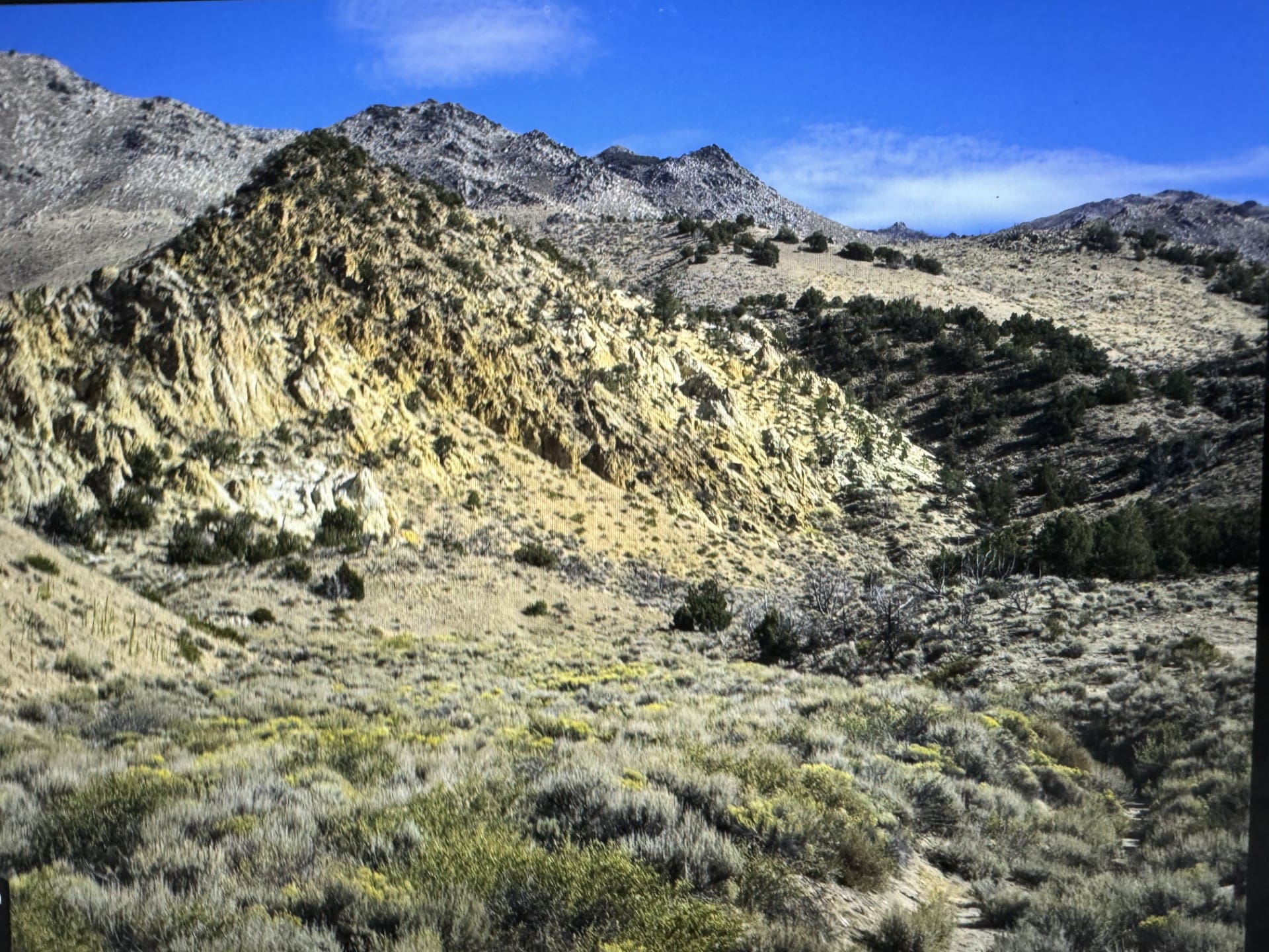 20.00 ACRES IN THE GORGEOUS NORTHERN CALIFORNIA MOUNTAINS ~ LASSEN ...