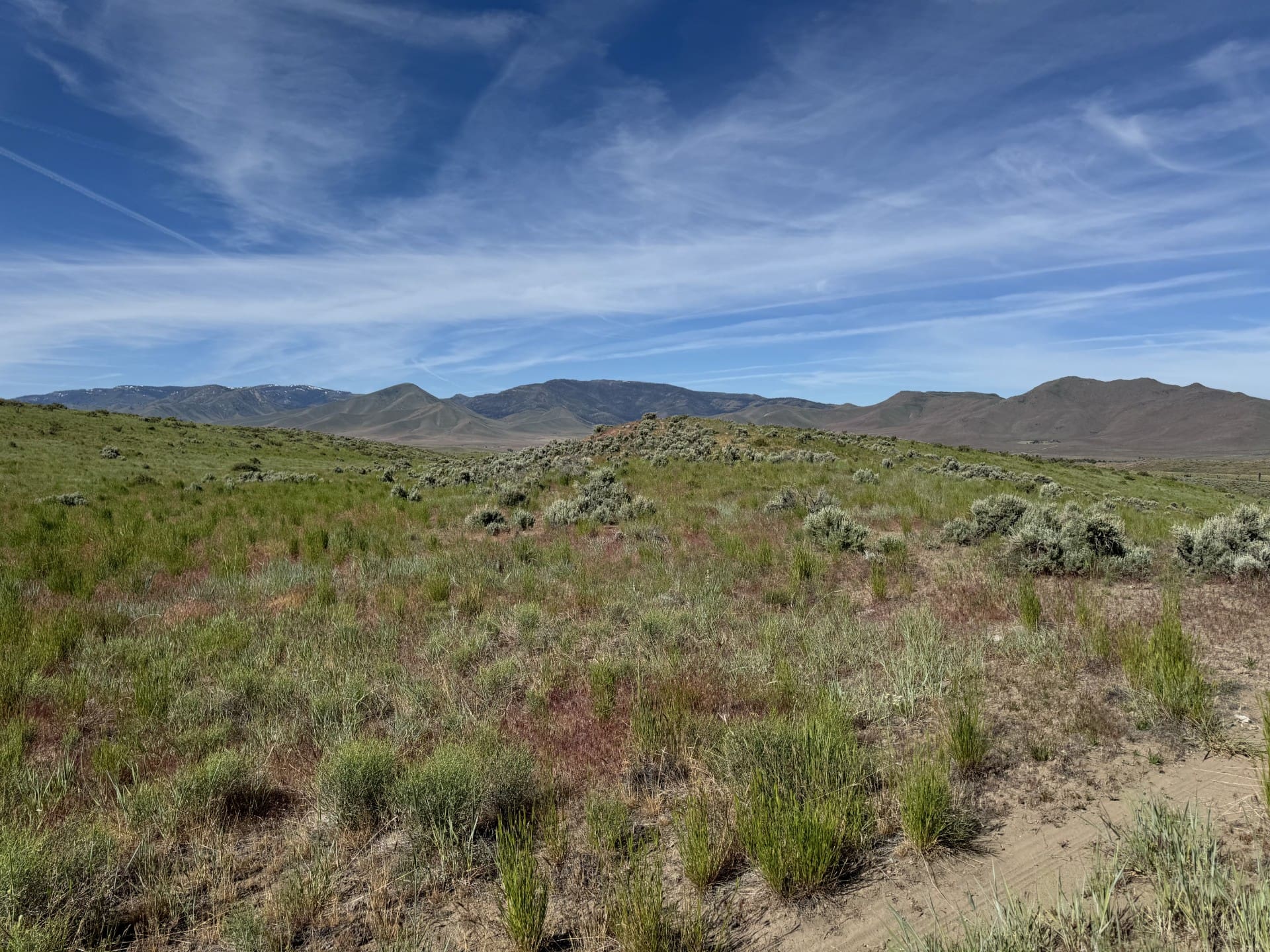 20.00 ACRES IN THE GORGEOUS NORTHERN CALIFORNIA MOUNTAINS ~ LASSEN ...